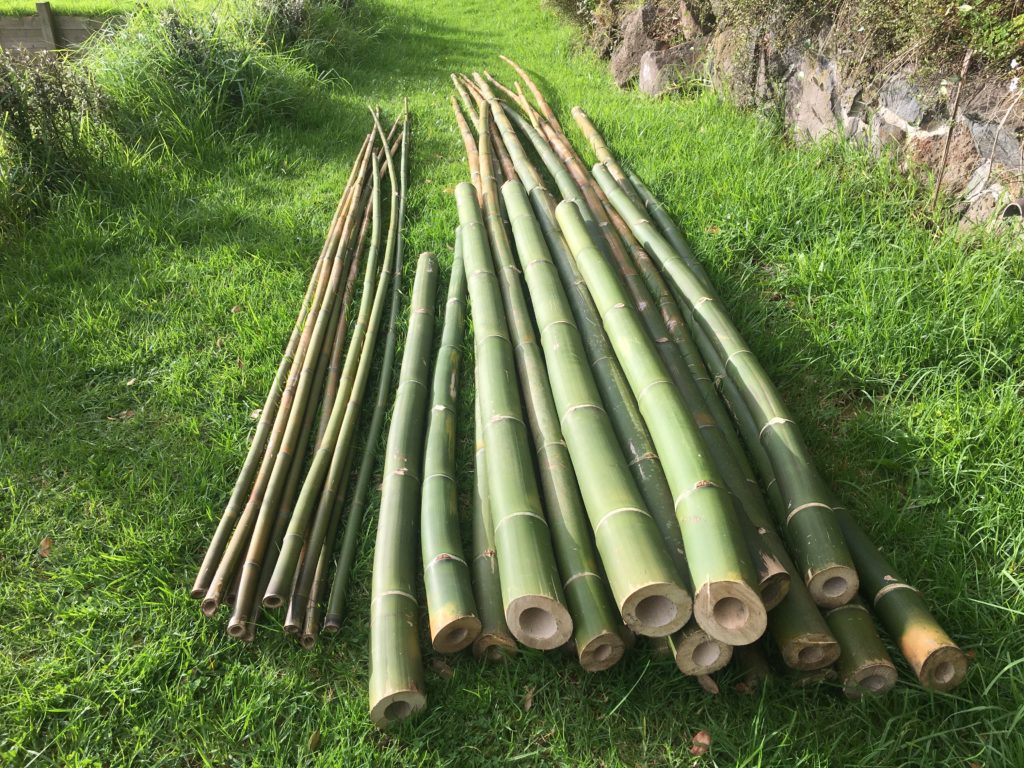 Bamboo Uses – Charlie's Bamboo